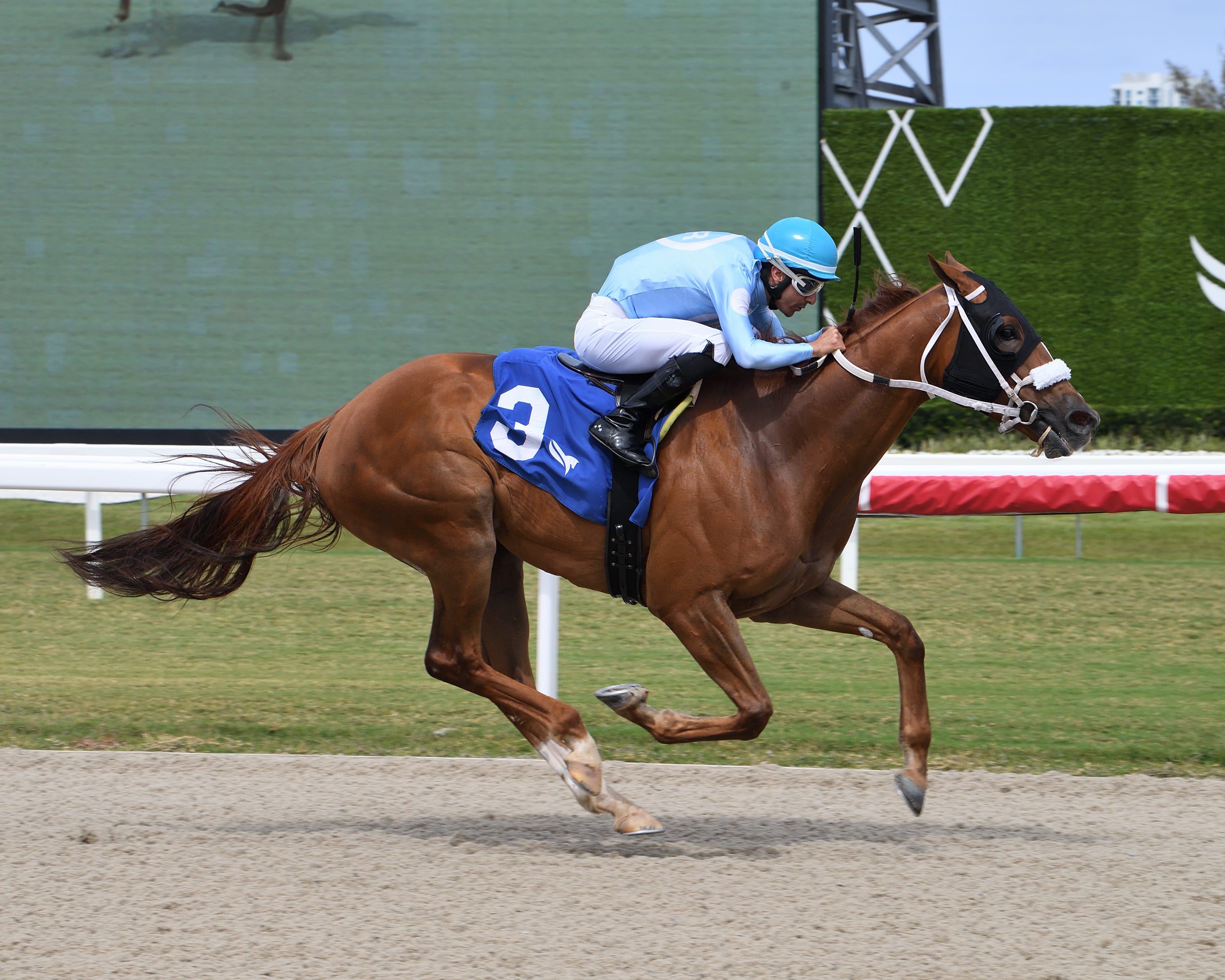 Sticky McShnickens hopes to have his fastball from outside post